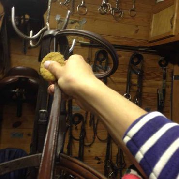 5 Tips to Make Bridle Cleaning Less of a Pain - Heels Down Mag