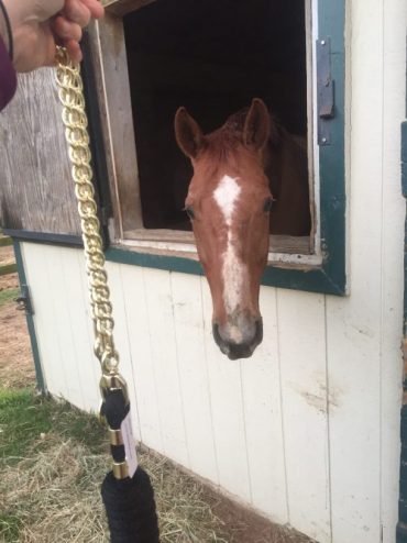 Use a Chain Shank Properly - Heels Down Mag