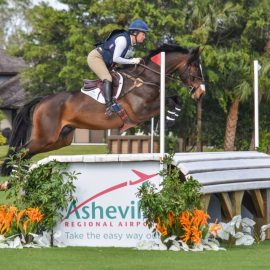 Eventing Explained: What To Expect At Each Level - Heels Down Mag