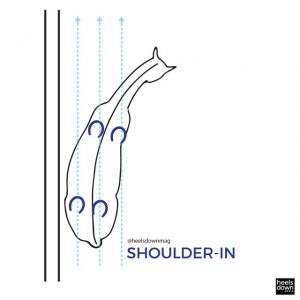 Dressage Movements Explained: The Difference Between Travers, Renvers ...