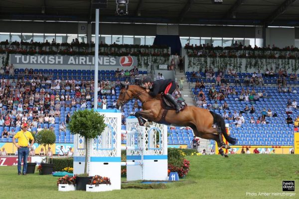 Show Jumping Explained: What Goes Into Course Design? Presented by Back ...