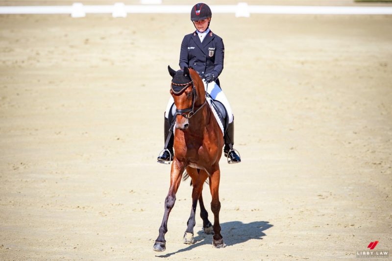 The Golden System: How Germany Consistently Produces Top-Ranked Riders ...