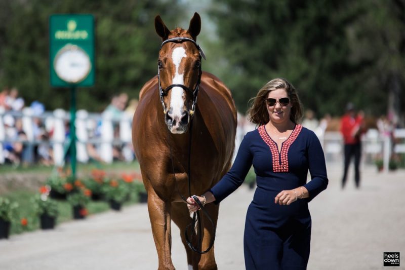 4 Simple Exercises To Keep Your Horse In Top Condition - Heels Down Mag