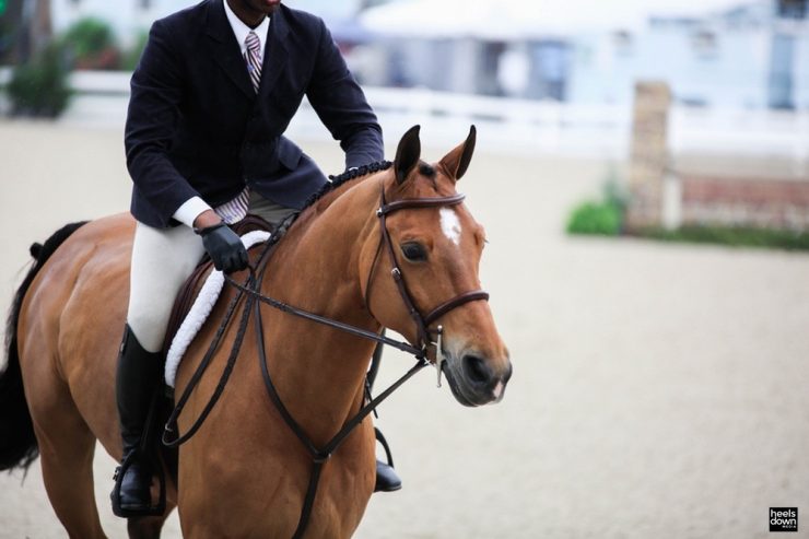 Why is a Hunter Circle So Important? - Heels Down Mag