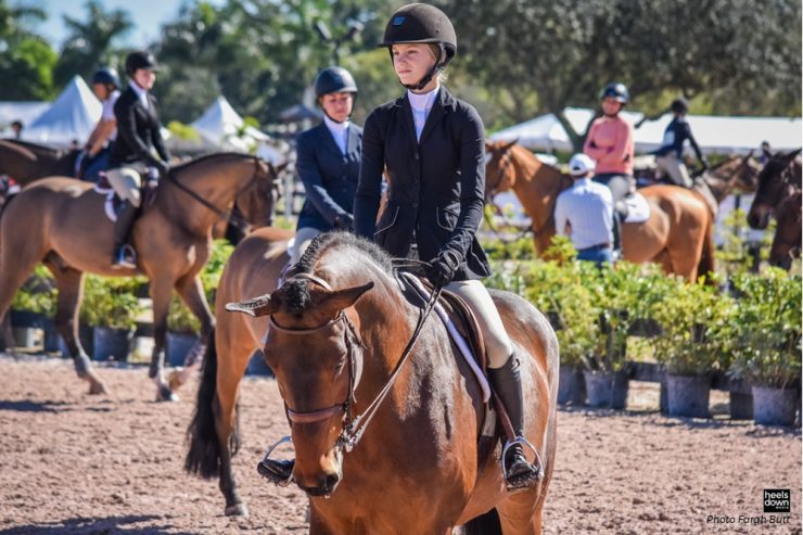 Junior Rider Round Table: What's the Point of Equitation? - Heels Down Mag