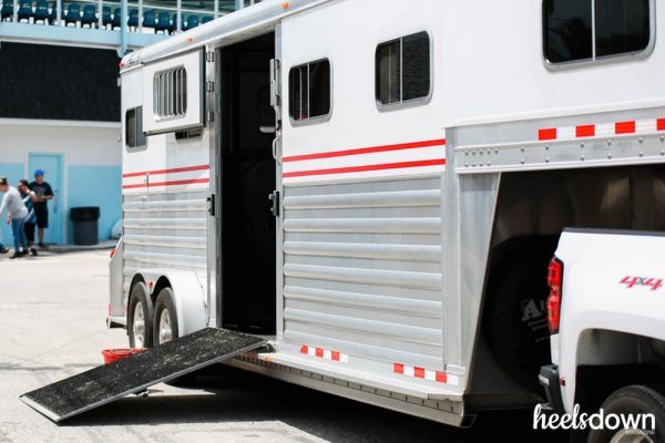 Everything You Need To Know About the New Horse Hauling Requirements ...