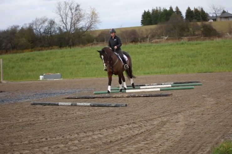 5 Gymnastic Jumping Exercises To Get You Ready For Show Season - Heels ...