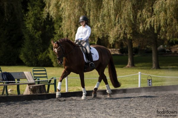 How to Ride an Effective Warm Up in the Dressage Ring - Heels Down Mag