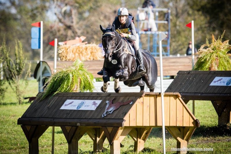 Lessons from the Live Stream: Jim Wofford on Cross-Country Riding ...