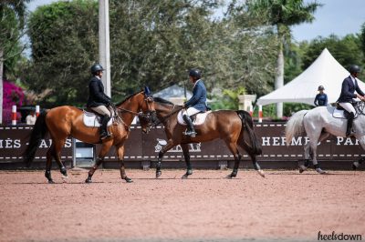 Show Jumping: The Ultimate Strength and Conditioning Guide for Horses ...