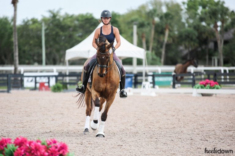 Equestrian Fitness: Is There A Body Type Better Suited for Each ...