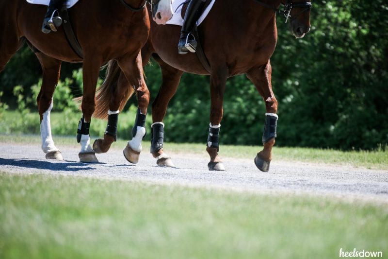 Lateral Exercises For Horses Of All Disciplines - Heels Down Mag