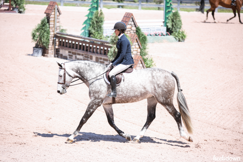 Got Dapples? How To Make Your Horse's Coat Truly Shine - Heels Down Mag