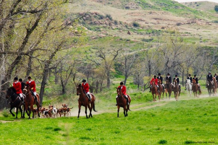 Ever Wanted To Try Fox Hunting? Here's How. - Heels Down Mag