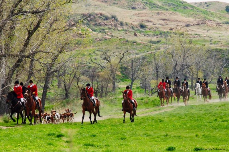 Ever Wanted To Try Fox Hunting? Here's How. - Heels Down Mag