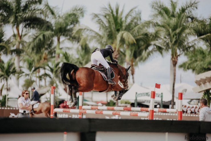 How To Ride Confidently On A Horse With Scope - Heels Down Mag