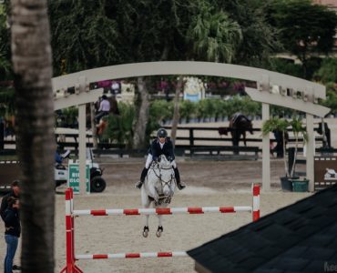 What Are All These Show Jumping Classes? Jumper Tables Explained ...