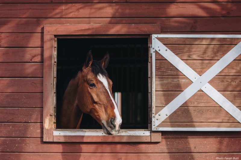 The Quarantine Challenge - Heels Down Mag