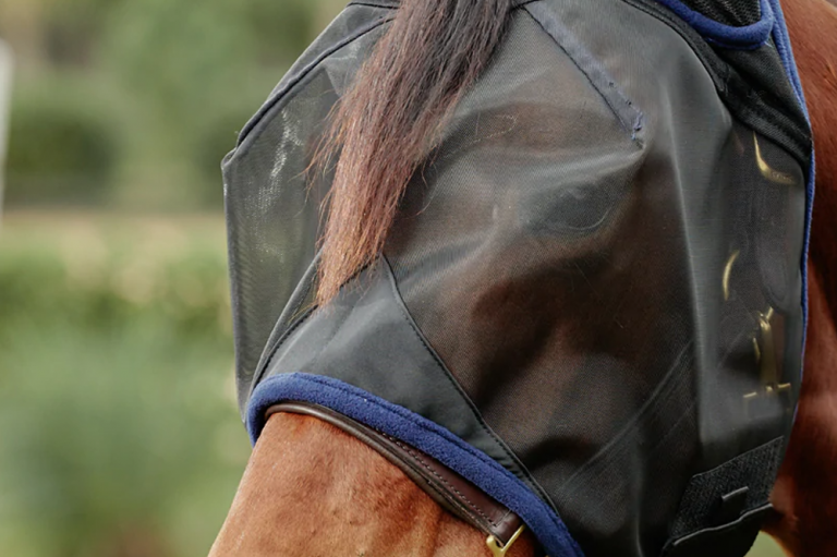Product Review: SmartPak's Fine Mesh Fly Mask - Heels Down Mag