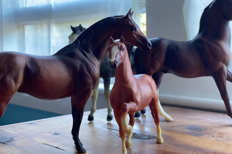 Passing On The Love Of Breyer Horses - Heels Down Mag