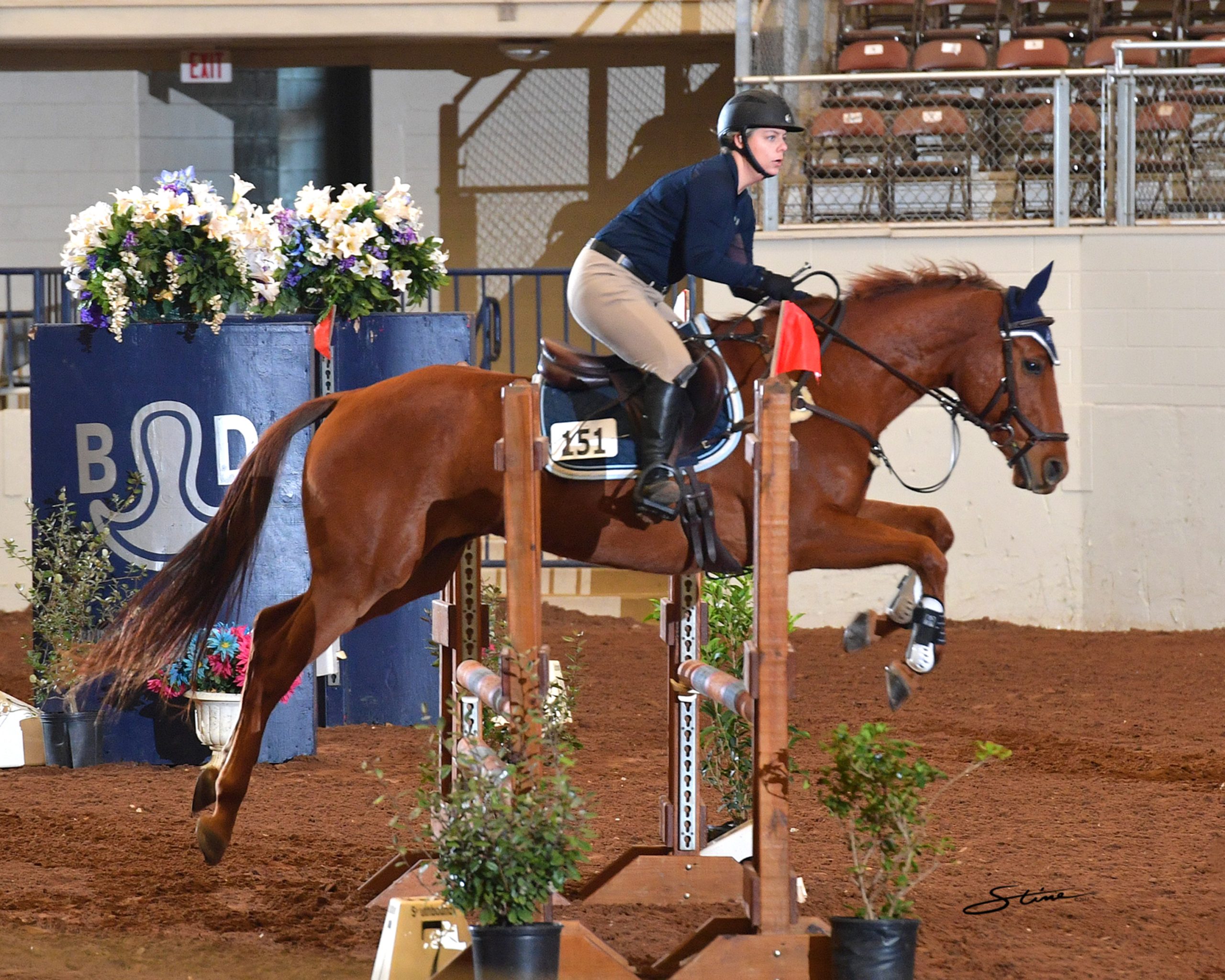 The Lesson Horse That Changed Everything - Heels Down Mag