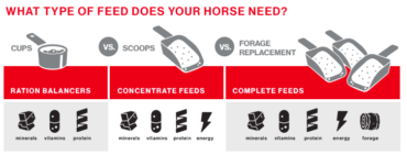 101 On Feeding Ration Balancers For Horses - Heels Down Mag
