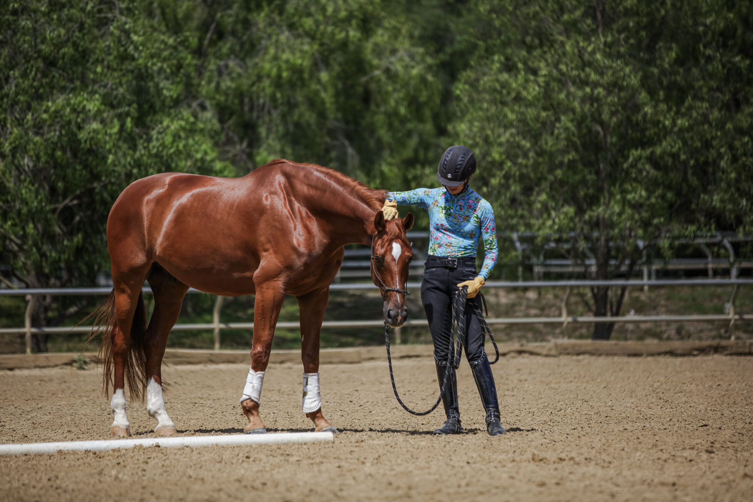 This Is Why Developing Topline Is So Important - Heels Down Mag