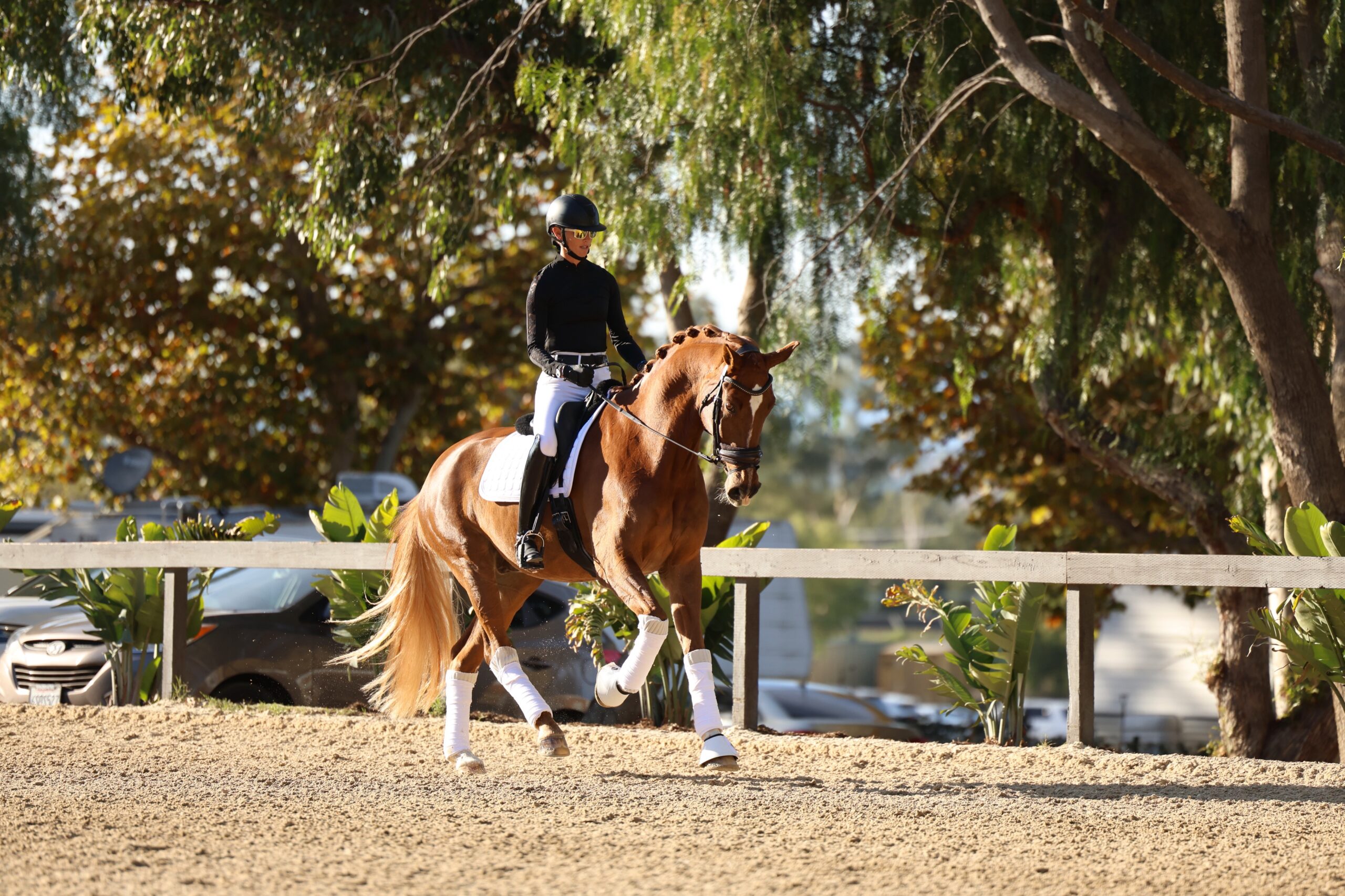 AMA: Demystifying The Role Of Your "Seat Bones" - Heels Down Mag