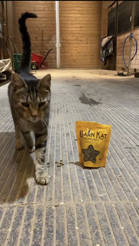 Product Review: Barn Dog Bites And Kat Krunchies - Heels Down Mag