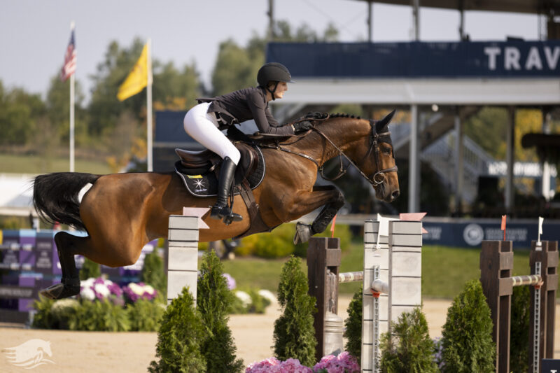 FEI Show Jumping: What To Expect This Summer At Traverse City Horse ...
