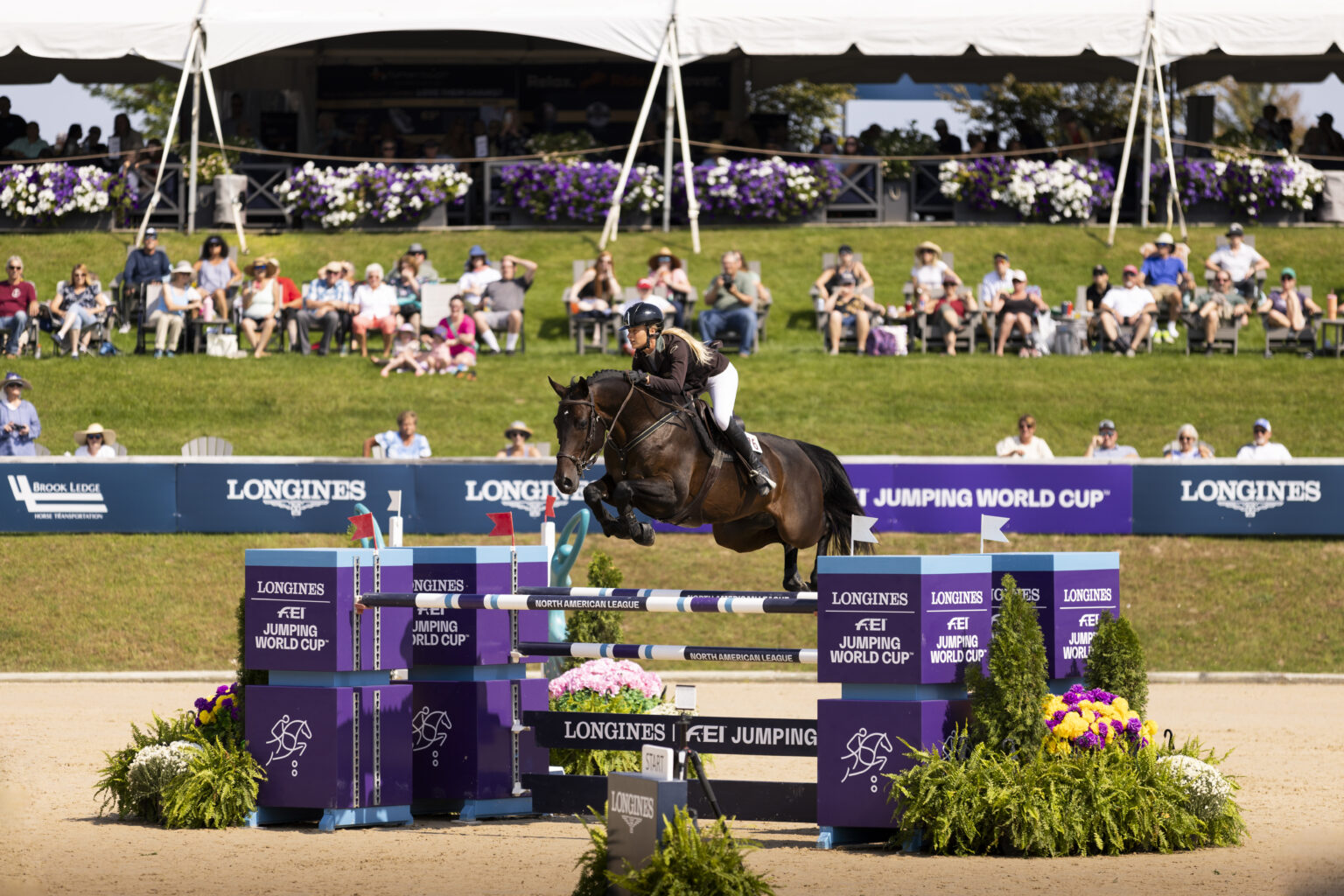 The Horse Girl’s Guide To Traverse City Horse Shows - Heels Down Mag