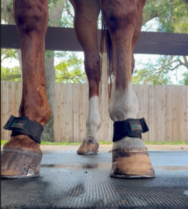 What Are All These Show Jumping Classes? Jumper Tables Explained ...