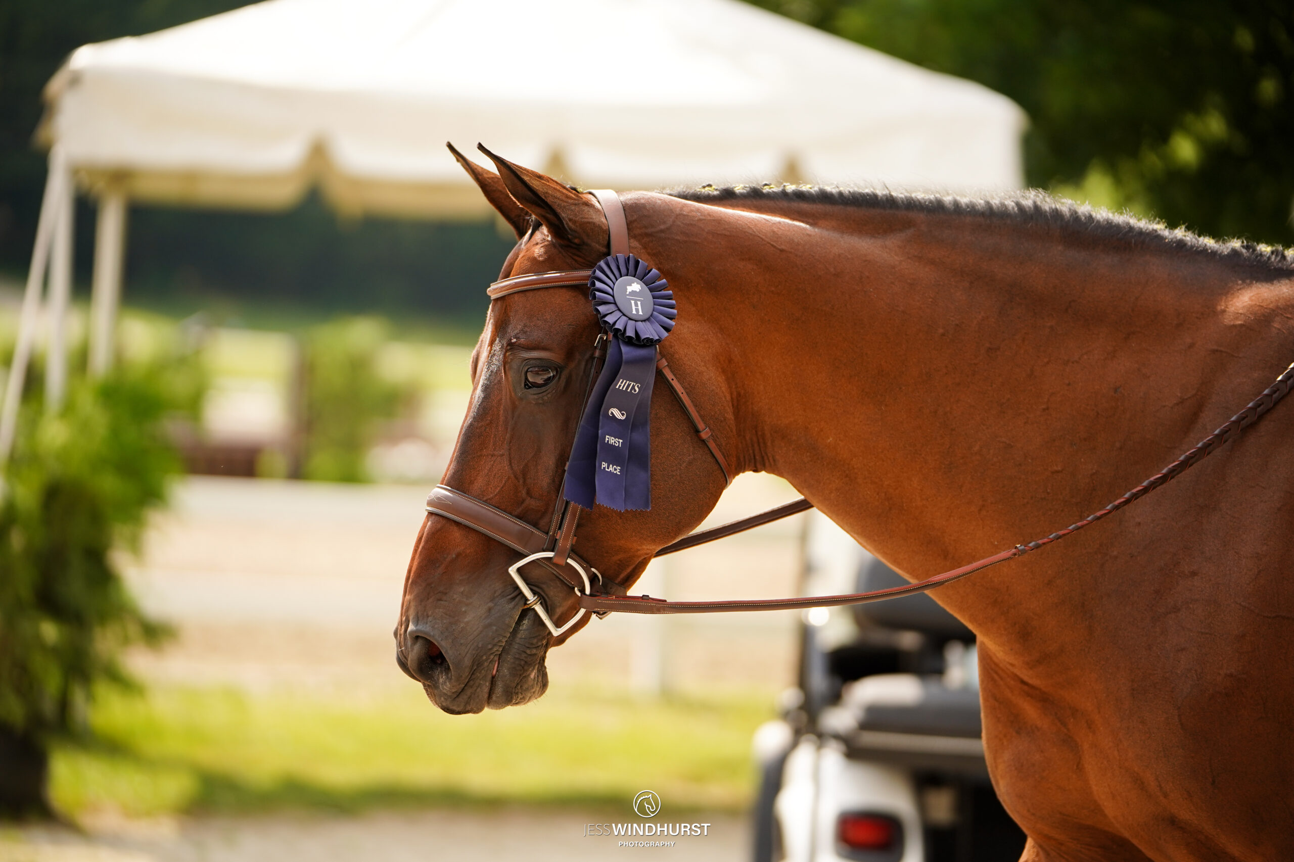 The Horse Girl's Guide To HITS Ocala Horse Shows - Heels Down Mag